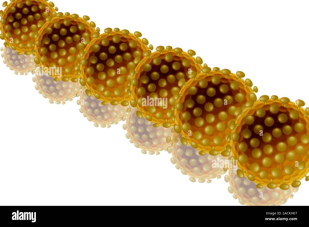 Artwork of six viruses Stock Photo - Alamy