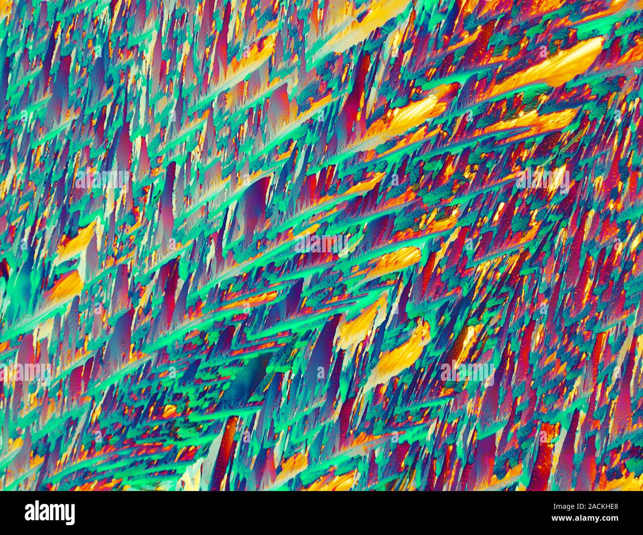 Adrenaline. Polarized light micrograph of crystals of adrenaline ...