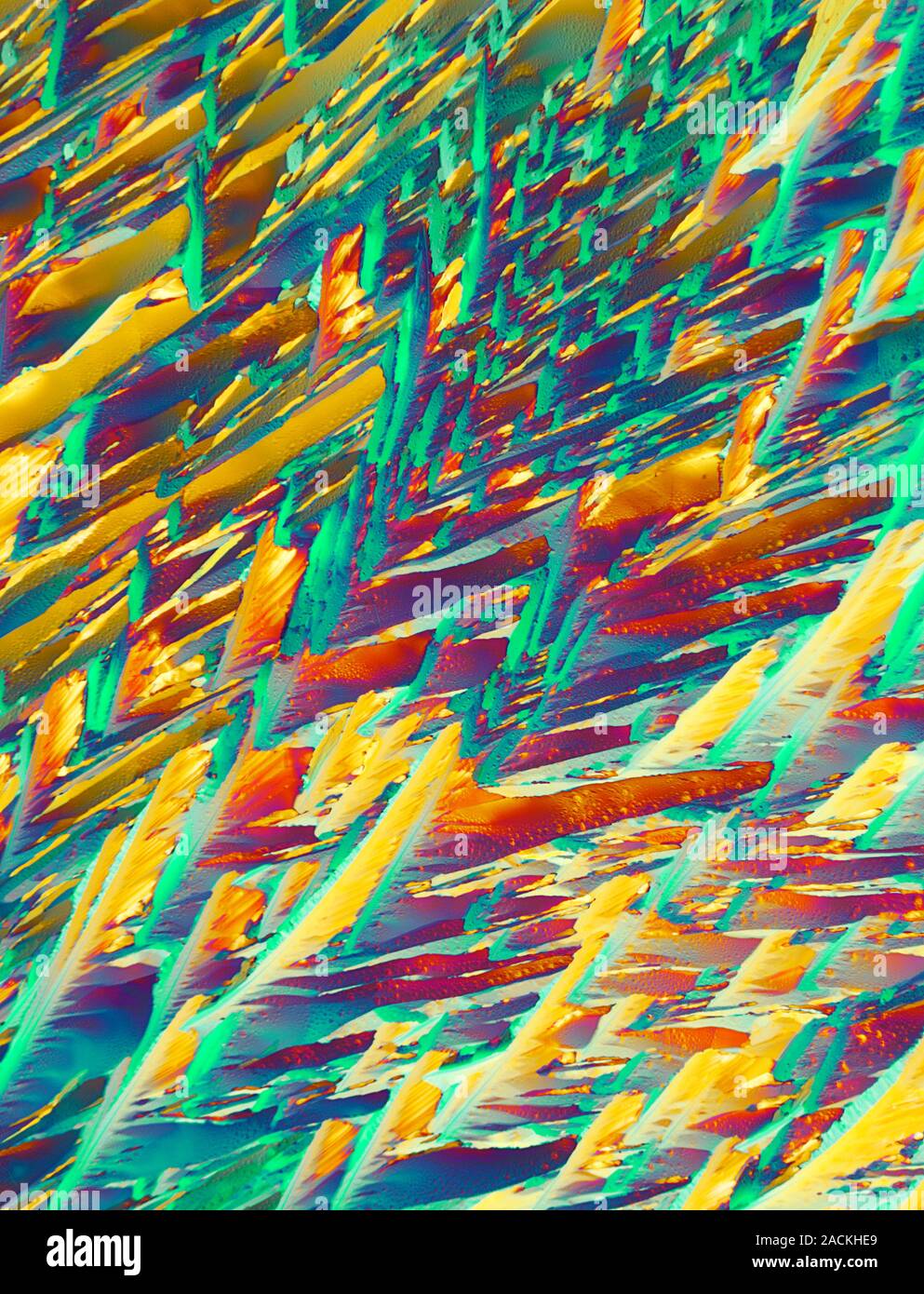 Adrenaline. Polarized light micrograph of crystals of adrenaline ...