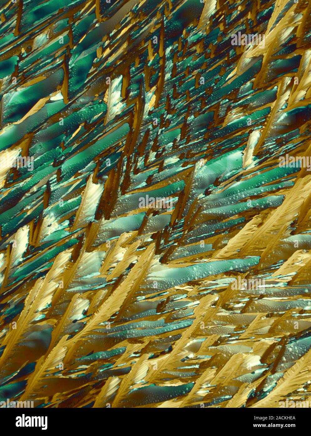 Adrenaline. Polarized light micrograph of crystals of adrenaline ...