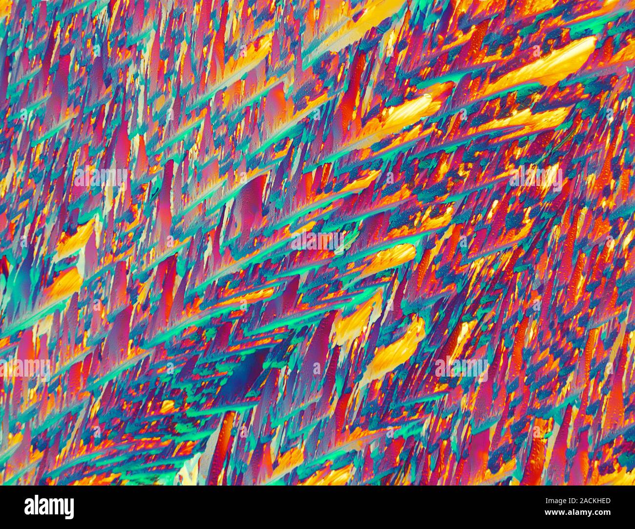 Adrenaline. Polarized light micrograph of crystals of adrenaline ...