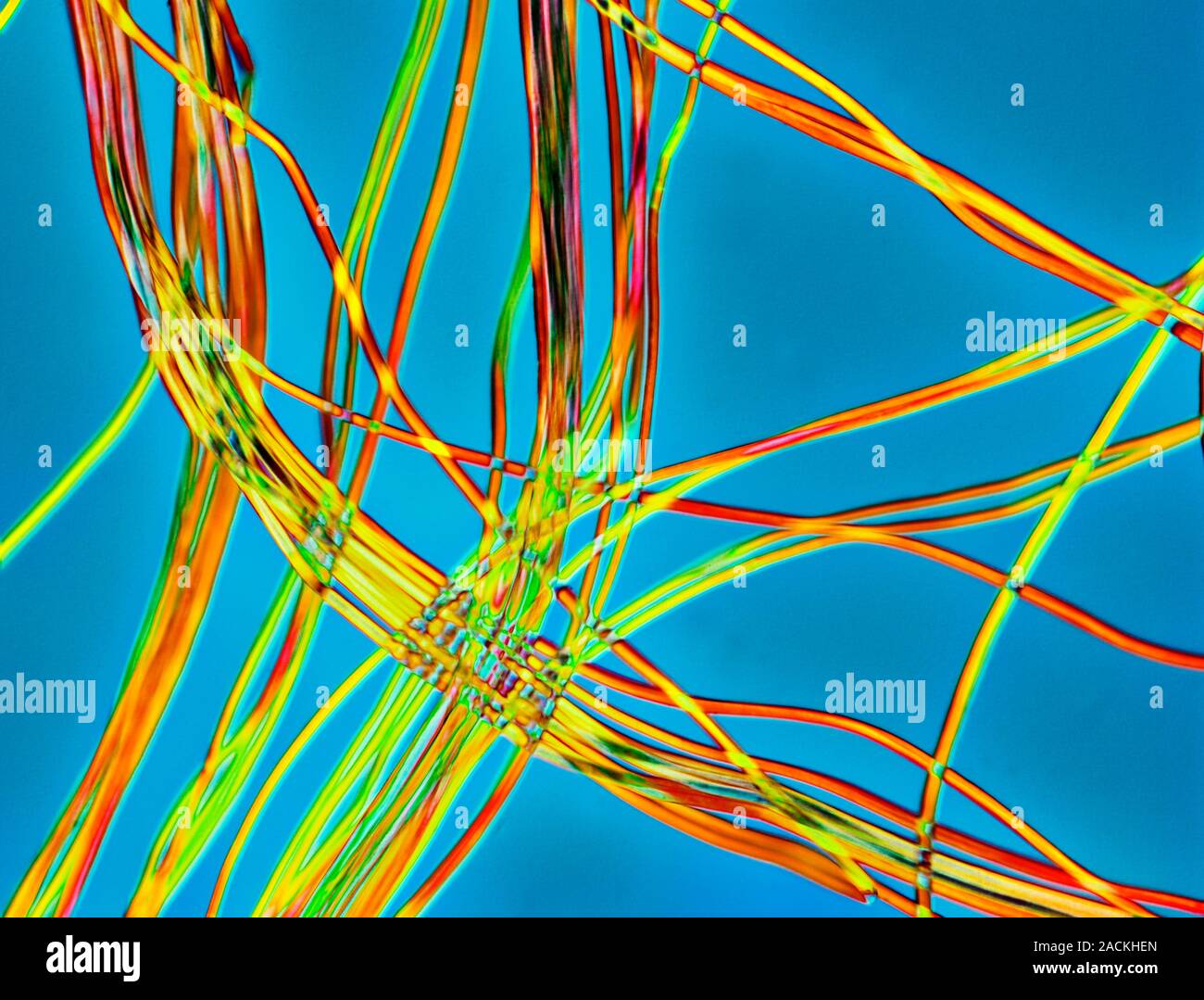 Light micrograph of a synthetic fibre, taken with polarised light ...