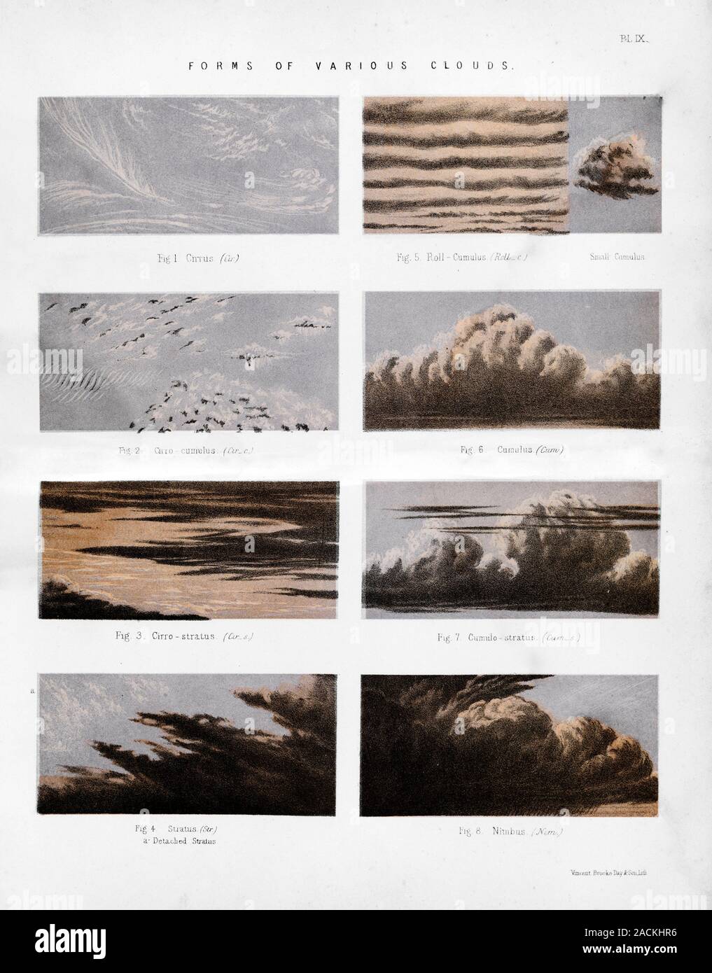 Clouds, historical artwork. 19th Century lithographs of various cloud ...