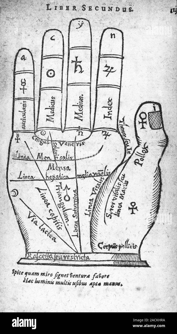 17th Century palmistry diagram. Historical woodcut print depicting a ...