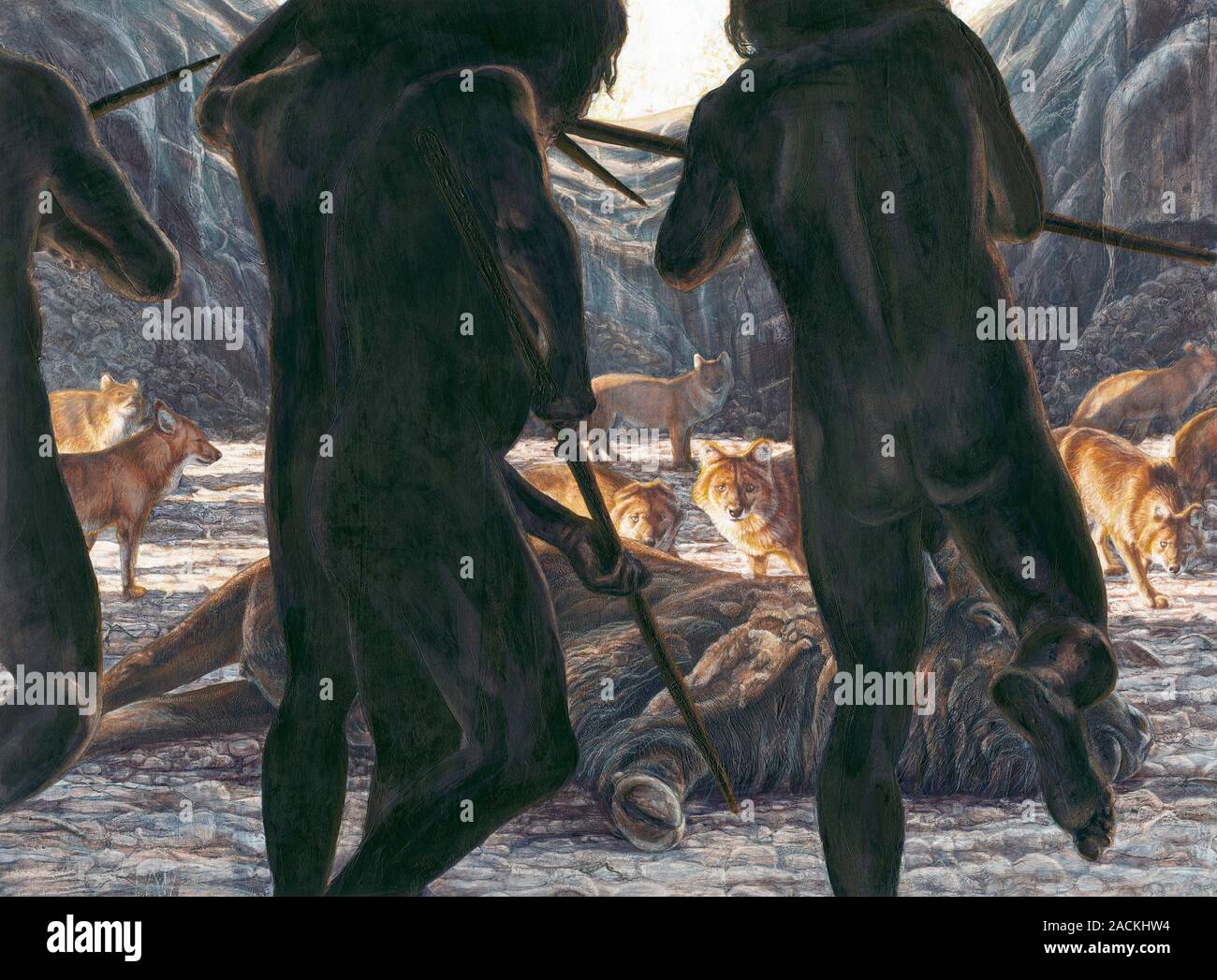 Prehistoric human-animal competition. Artwork showing wolves and early ...