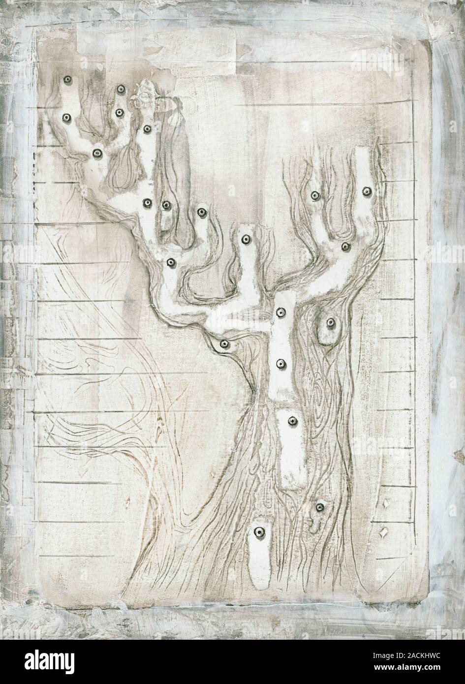 Human evolutionary taxonomy. Diagram of the evolution of hominin ...