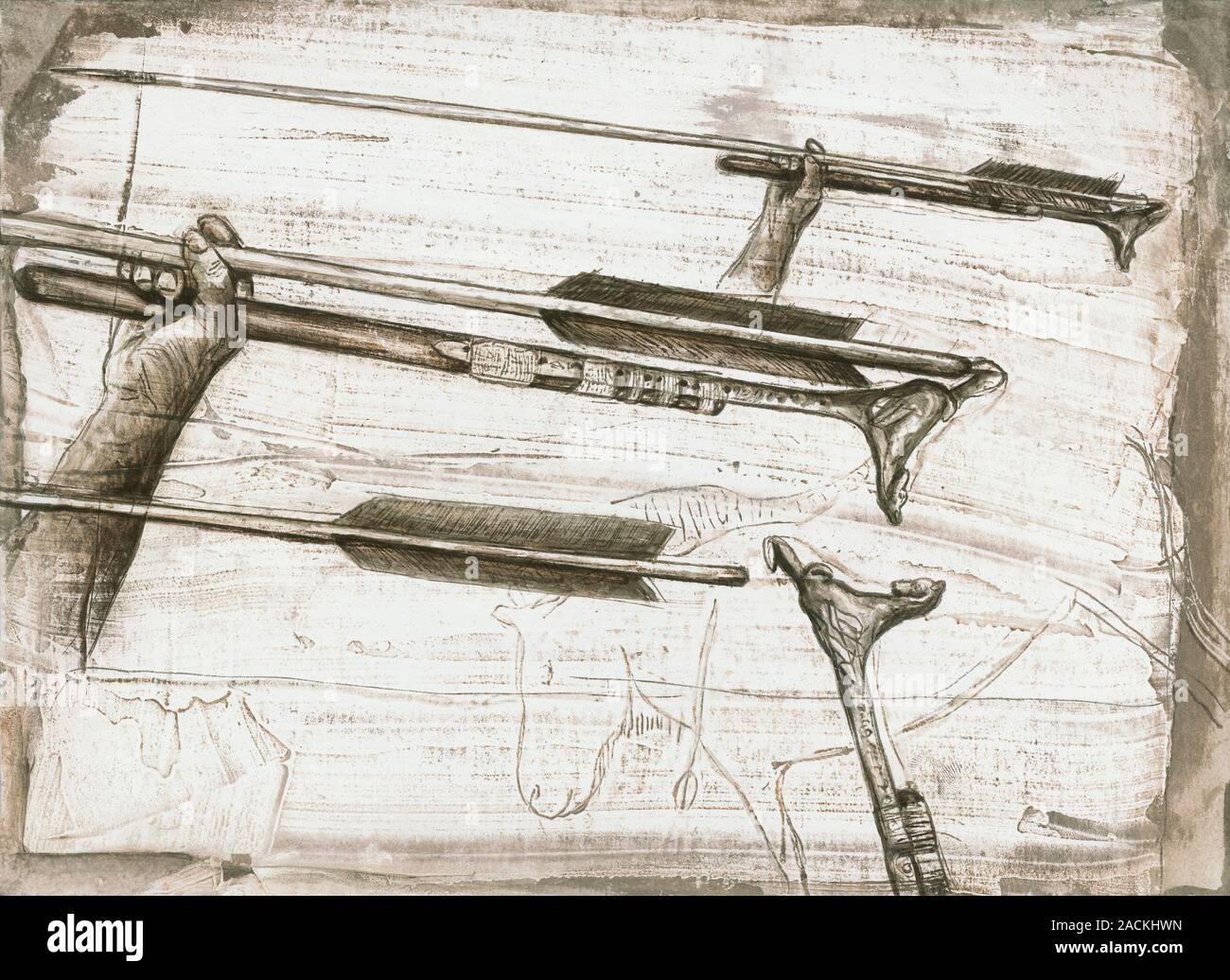 Prehistoric spear-thrower. Artwork of how a spear-thrower (or atlatl ...