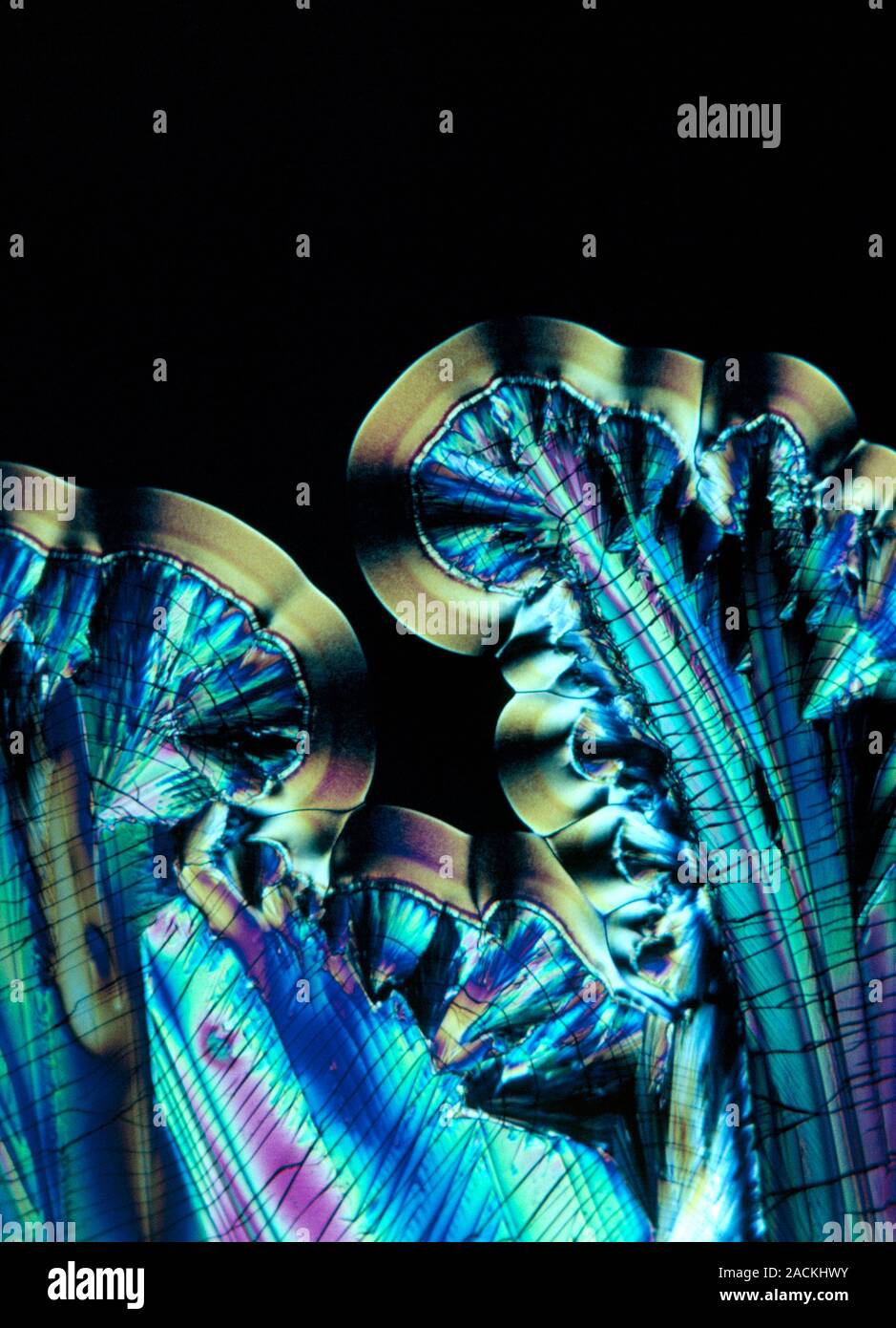 Vitamin C crystals, polarised light micrograph. Vitamin C, ascorbic ...