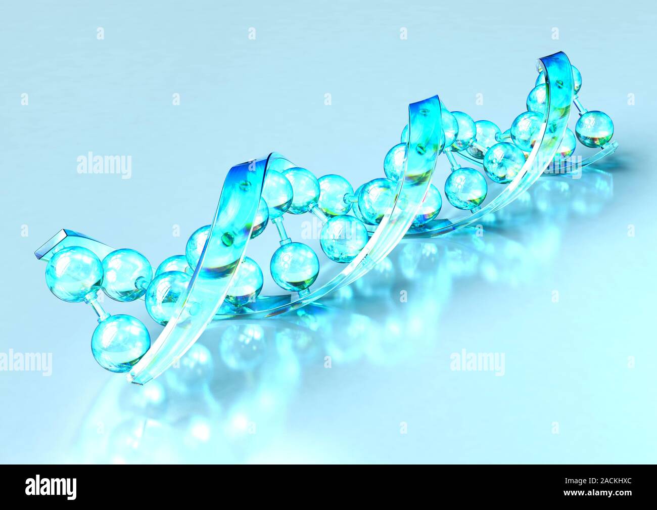 Dna Molecule Computer Artwork Showing A Double Stranded Dna Deoxyribonucleic Acid Molecule