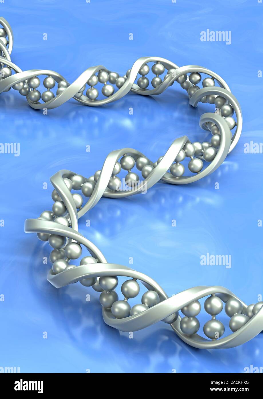 Dna Molecule Computer Artwork Showing A Double Stranded Dna Deoxyribonucleic Acid Molecule