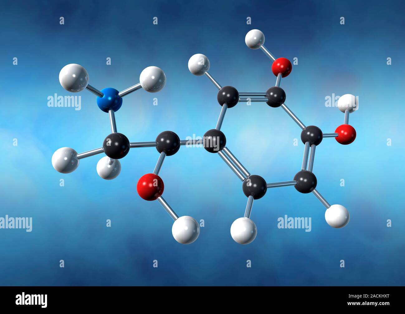 Norepinephrine neurotransmitter molecule. Computer model showing the ...