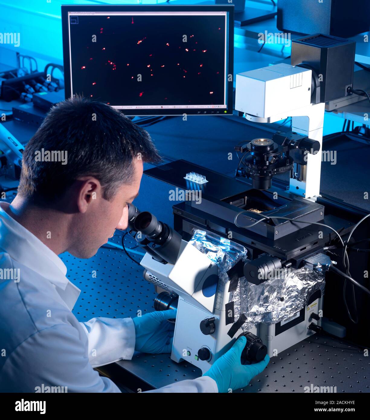Cell biology laboratory. Scientist using super resolution single ...