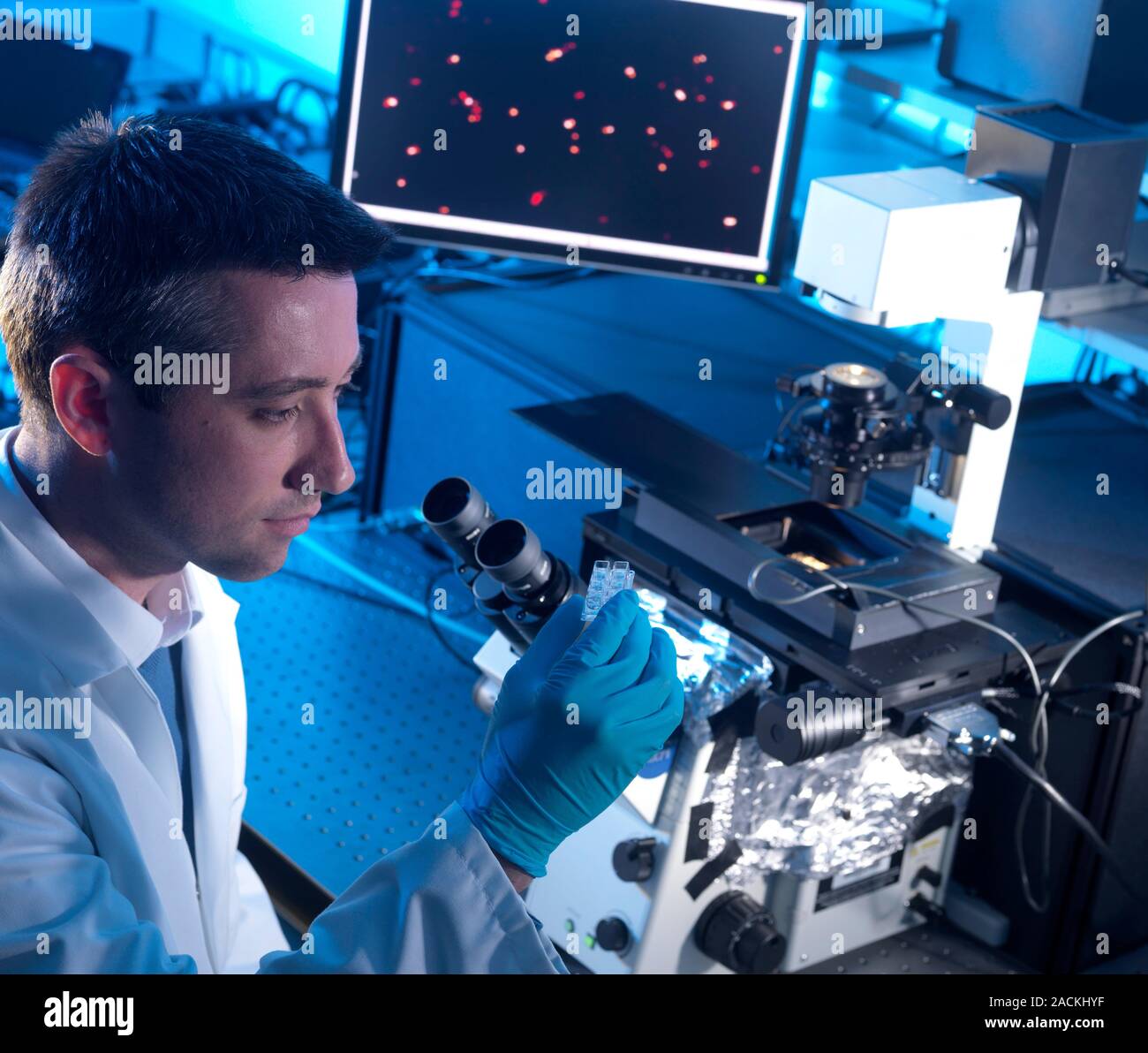 Cell biology laboratory. Scientist using super resolution single ...