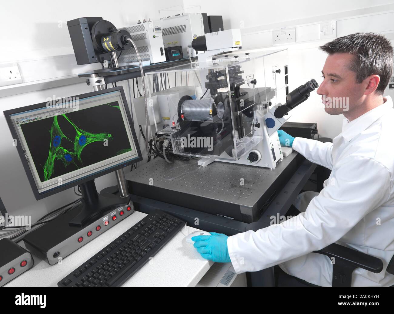 Cell biology laboratory. Scientist using confocal fluorescence ...