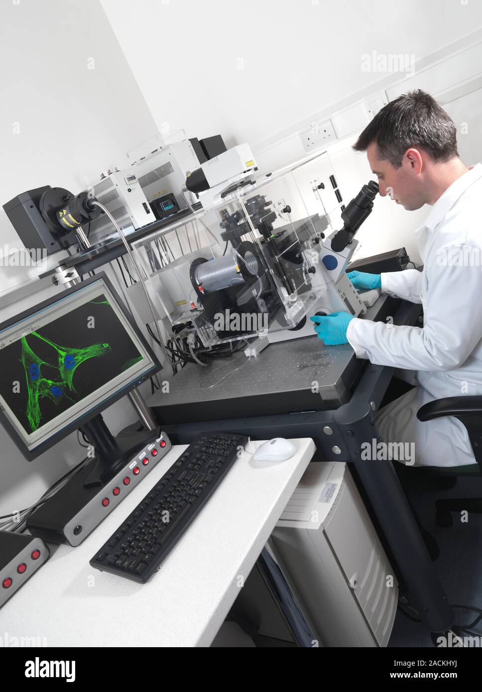 Cell biology laboratory. Scientist using confocal fluorescence ...