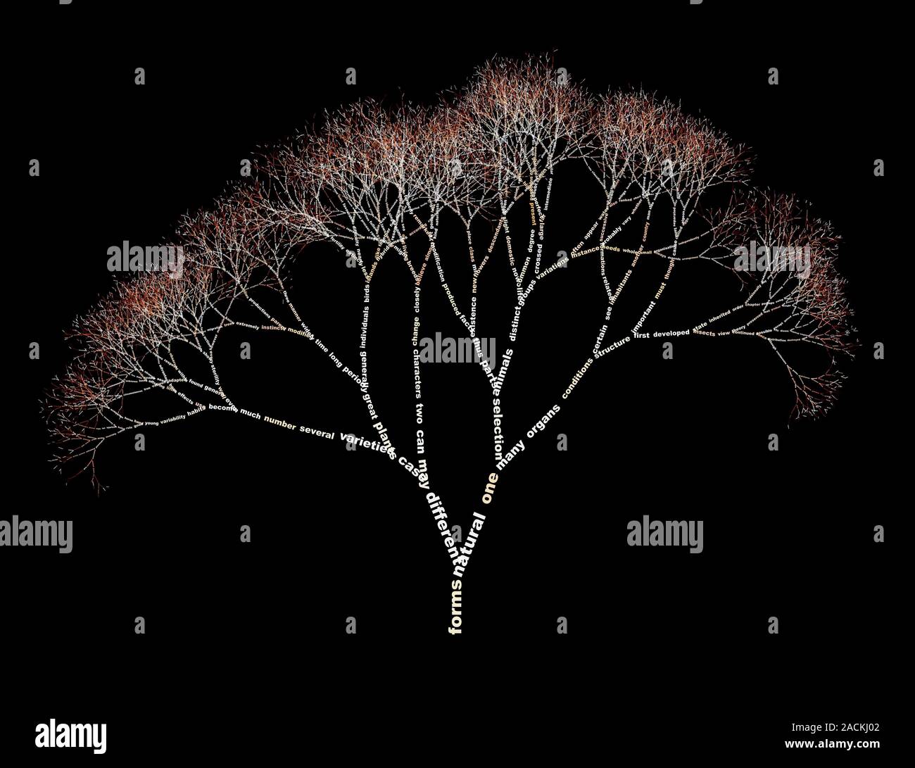 Data visualised as a tree. Data visualization based on the frequency of ...