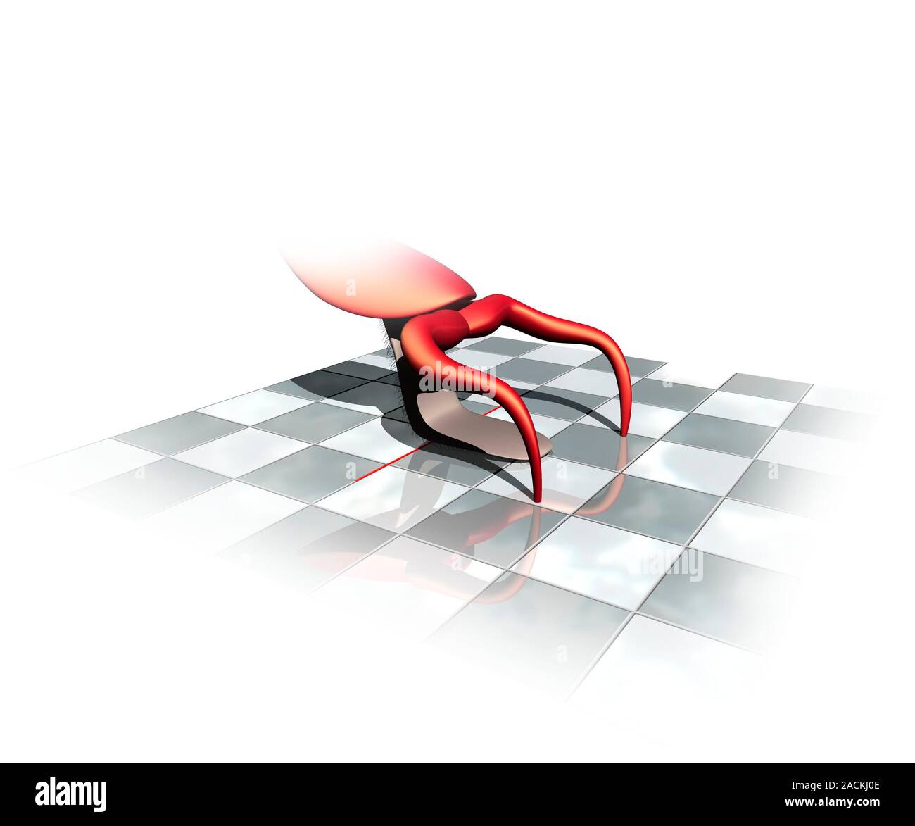 Anatomy of a fly's foot, computer artwork. The two claws are used to ...