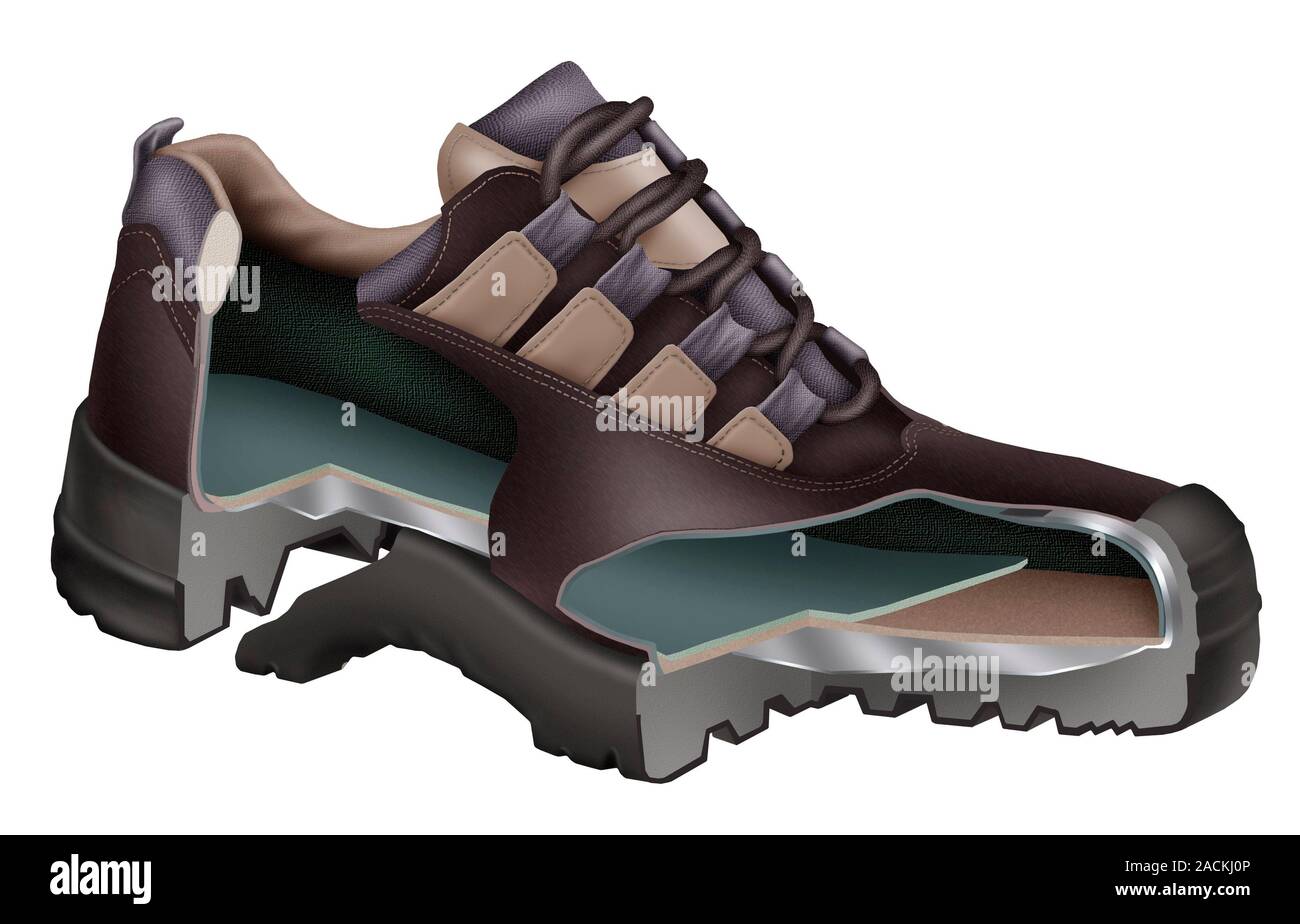 Safety shoe. Computer artwork showing the structure of a shoe designed ...