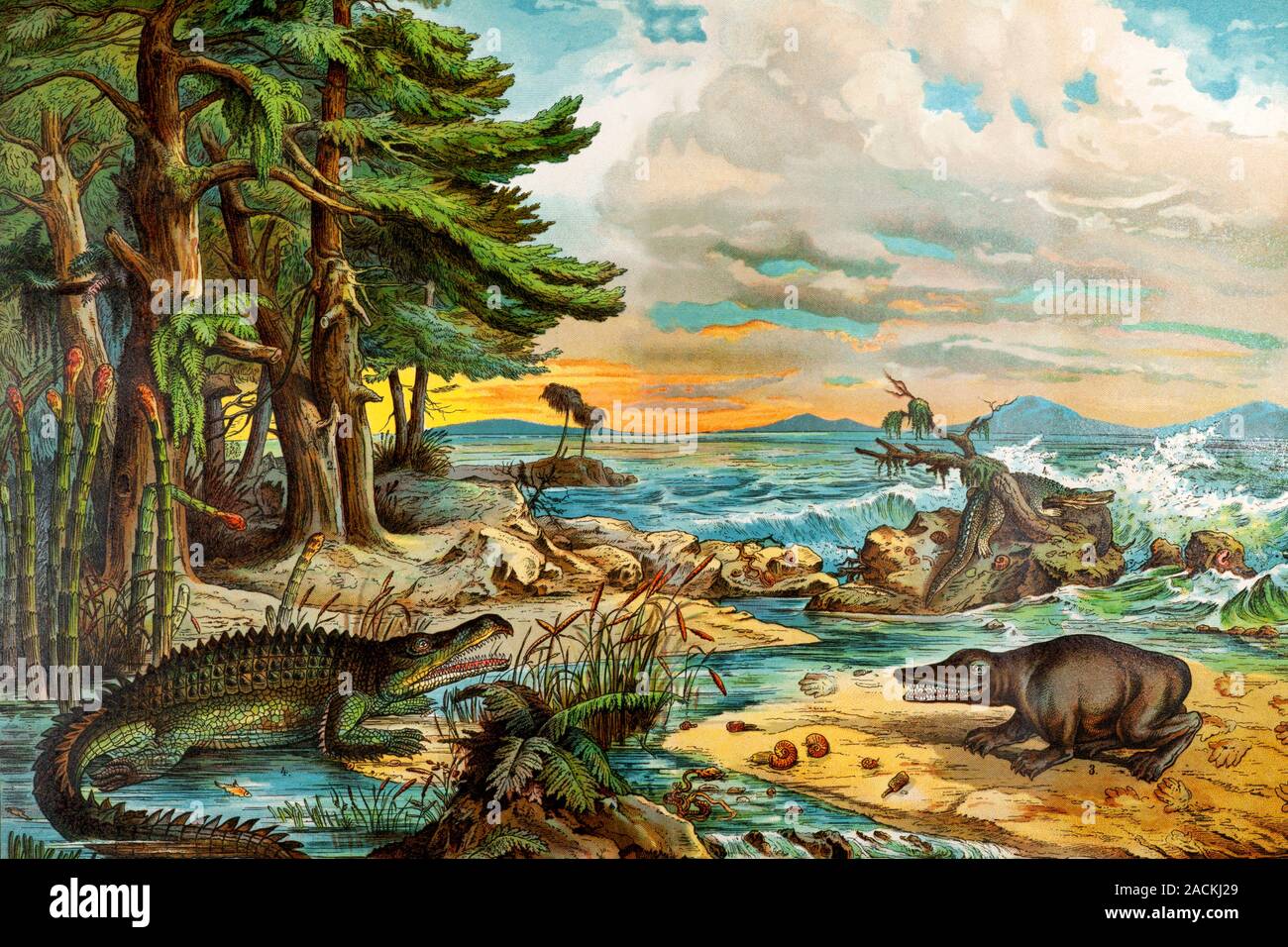 Landscape of the Triassic. Vivid colour lithograph for Dr. Schubert's ...