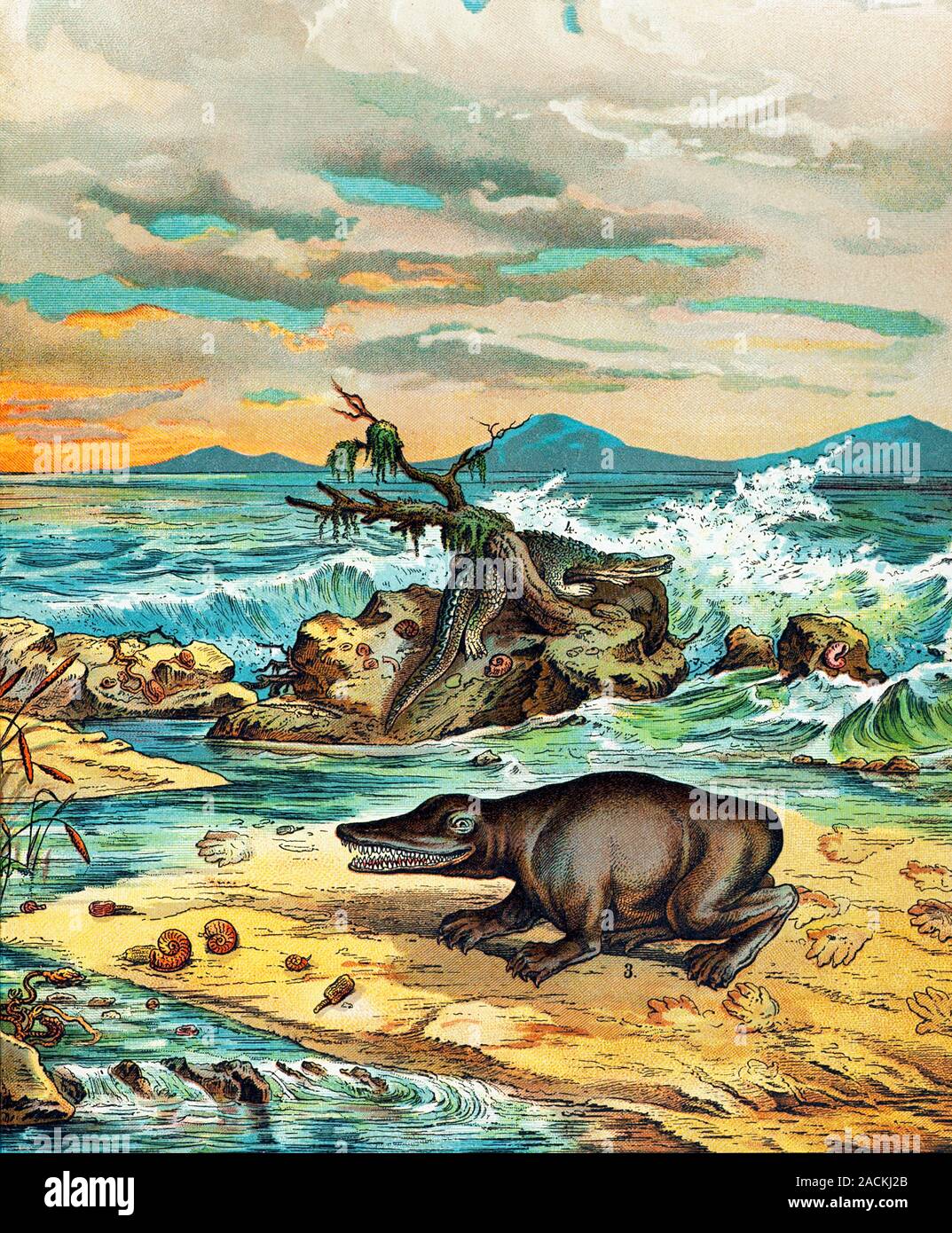 Landscape of the Triassic, Vivid colour lithograph for Dr. Schubert's ...