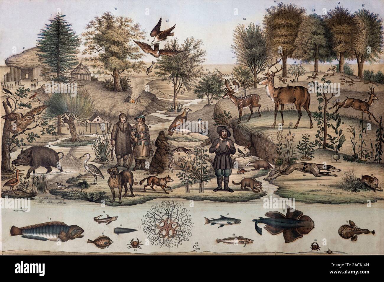 A northern temperate European landscape. Reproduced in Lubach and ...