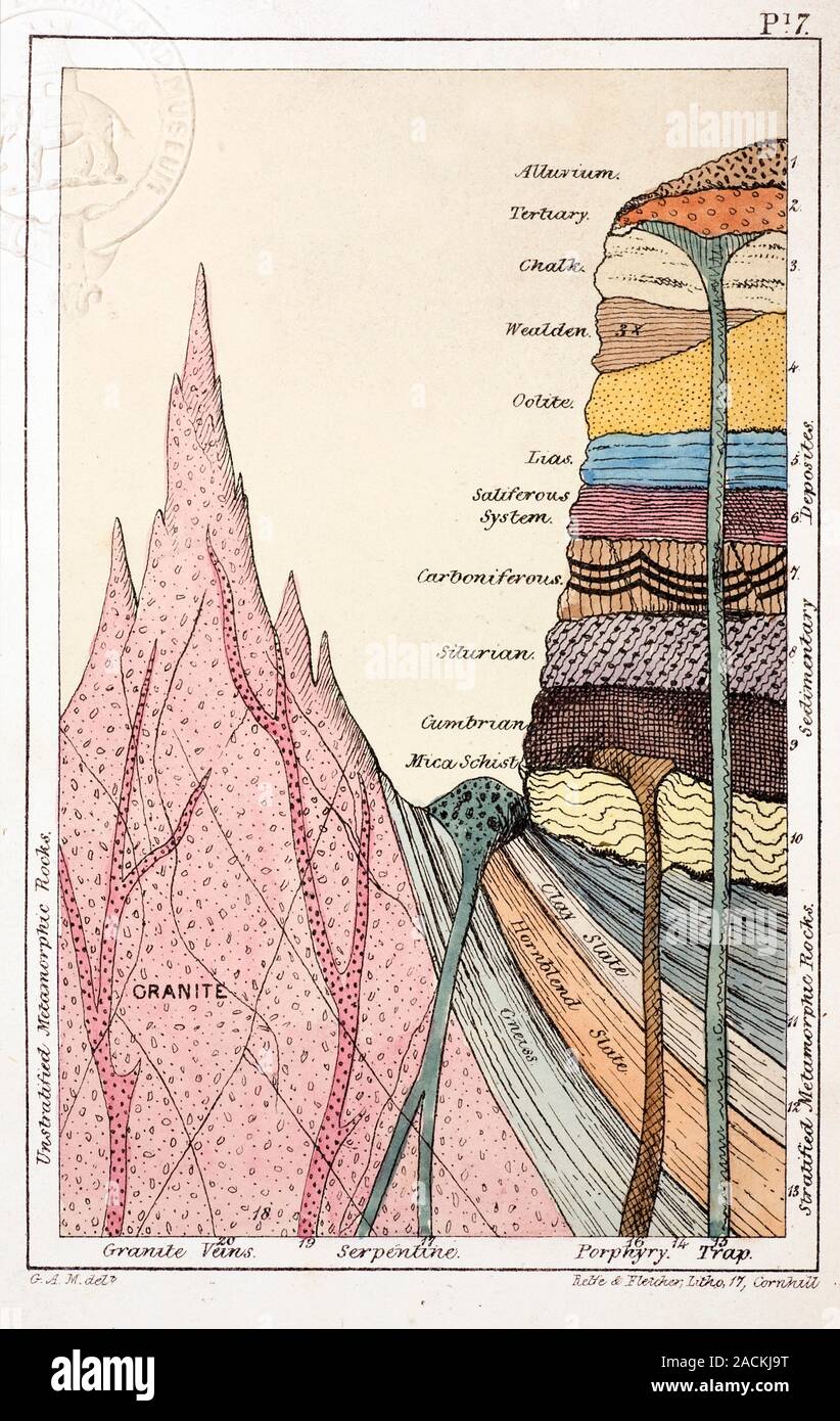 An idealised geological section drawn by Gideon Mantell to accompany ...