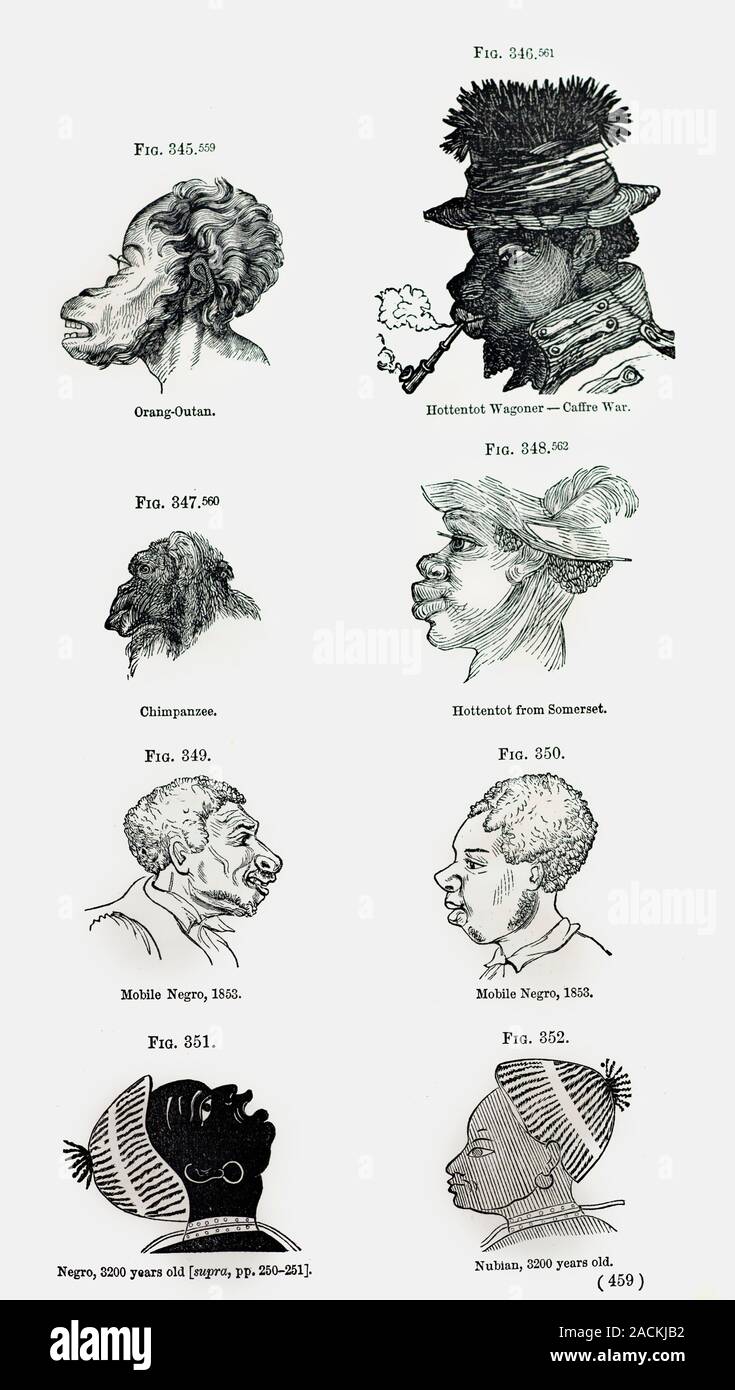 From Dr. Josiah C. Nott and George Gliddon Types of Mankind ...