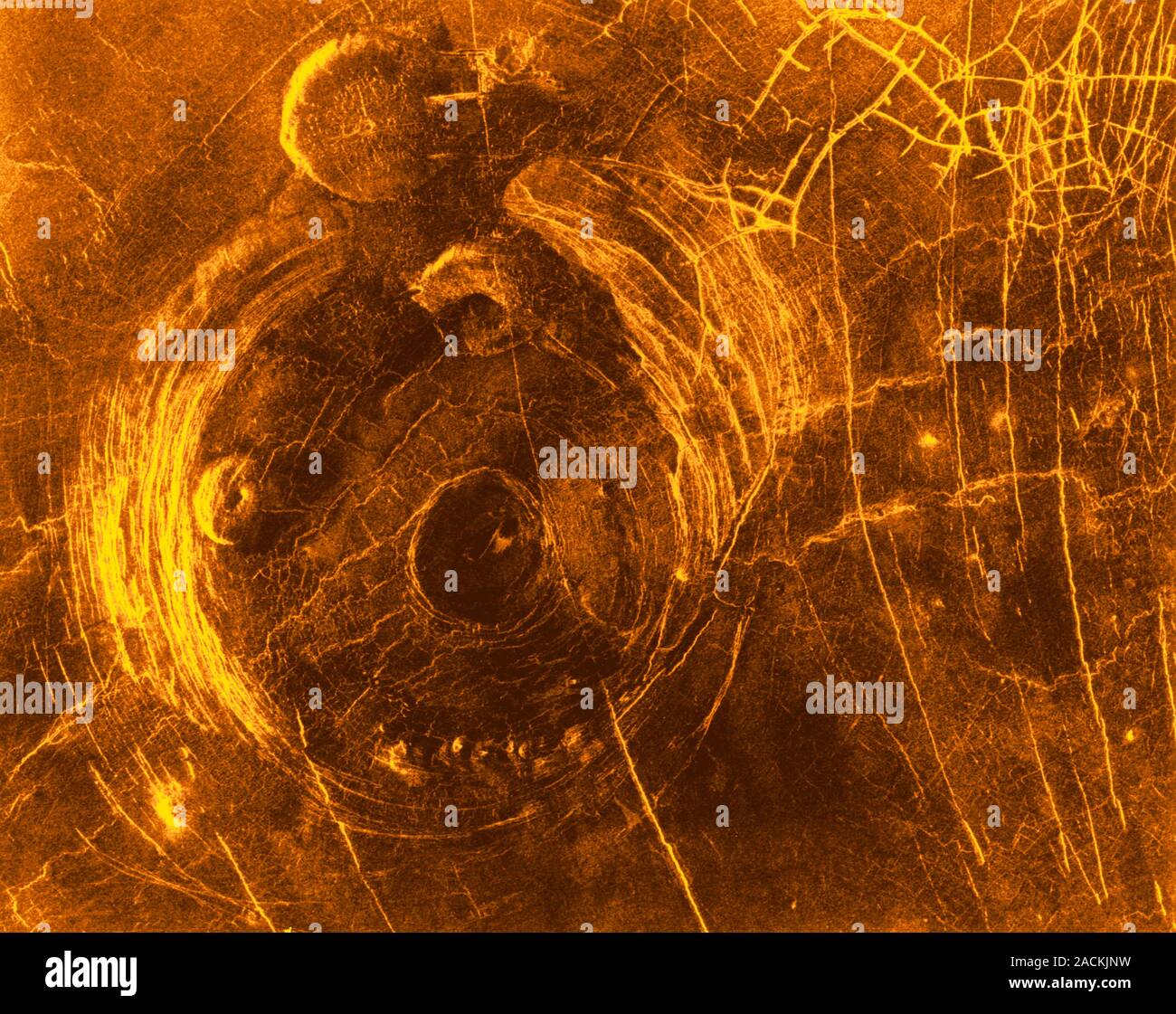 Venus. Synthetic aperture radar map of the surface of Venus, showing ...