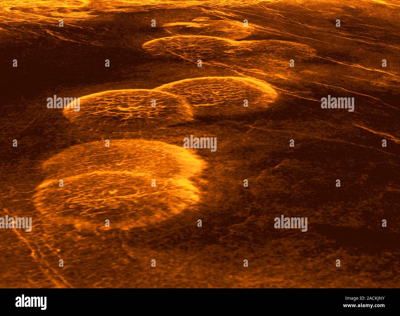 Venus. Synthetic aperture radar map of the surface of Venus, showing ...