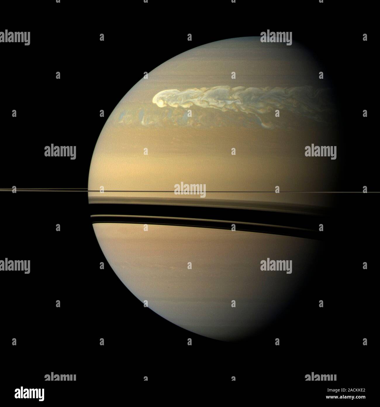 Storm on Saturn. This huge storm (white swirling clouds at top) was the largest and most intense ...