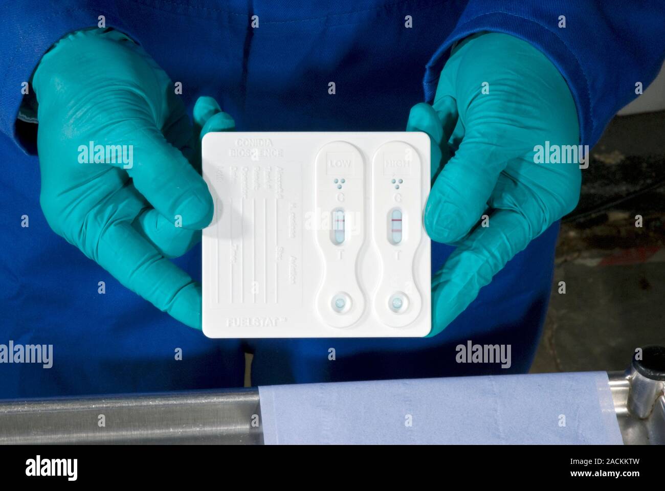 Fuel microbial contamination test. Researcher carrying out a test for ...