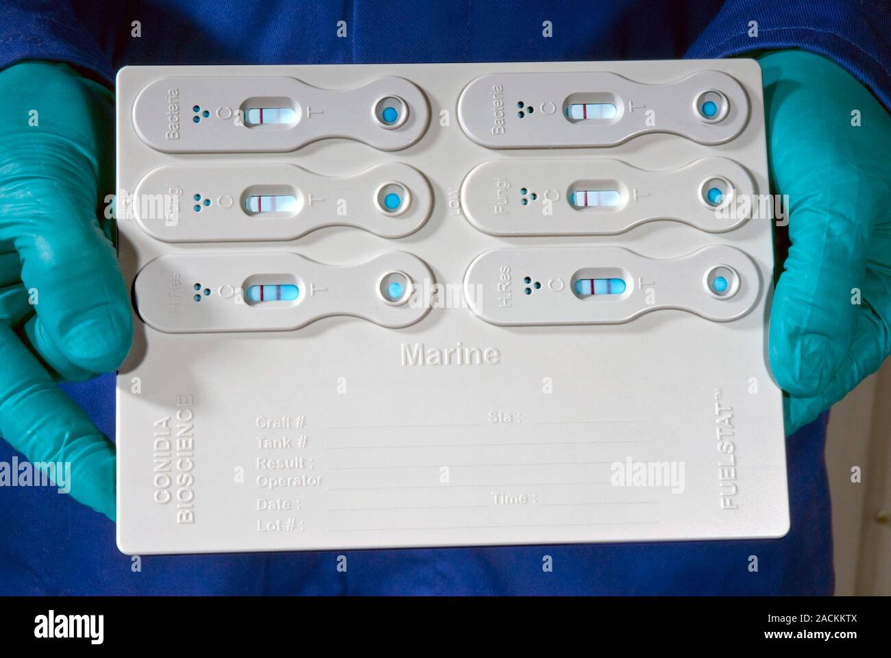 Fuel microbial contamination test. Researcher carrying out a test for ...