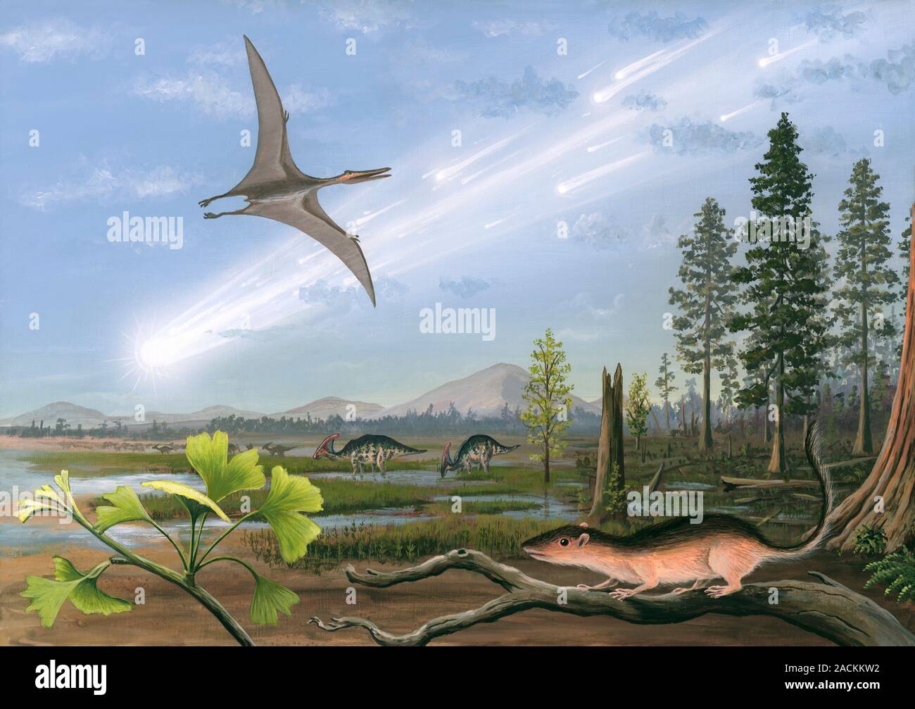 Cretaceous-Tertiary extinction event. Artwork of the K-T asteroid crossing the sky in a fireball ...