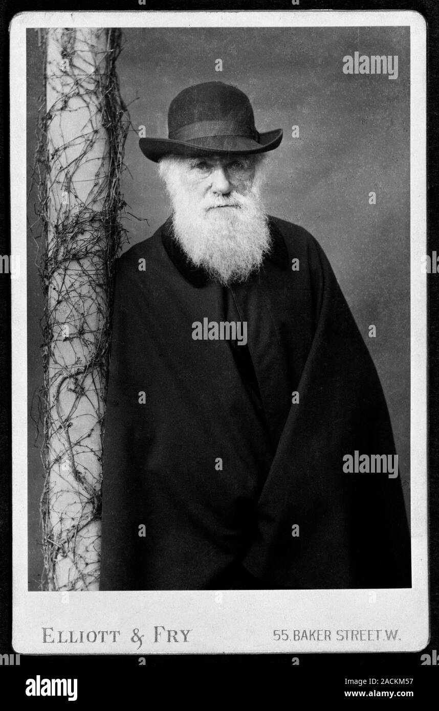 Charles Robert Darwin (1809-1882), British naturalist. Darwin is most ...
