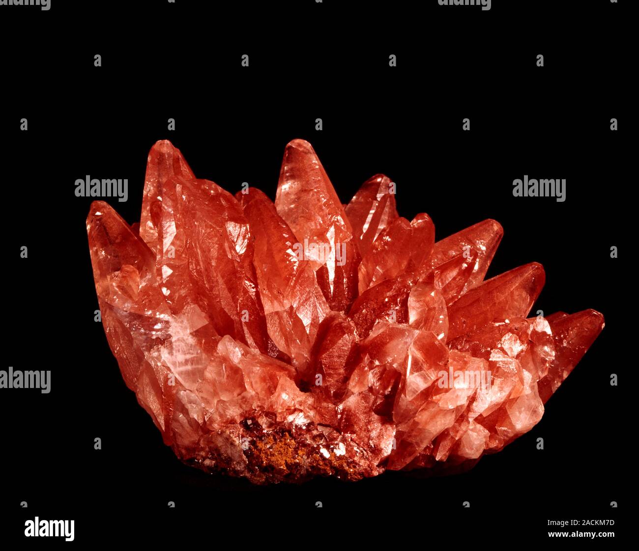 Pink calcite crystals. Calcite is the most stable polymorph of calcium ...