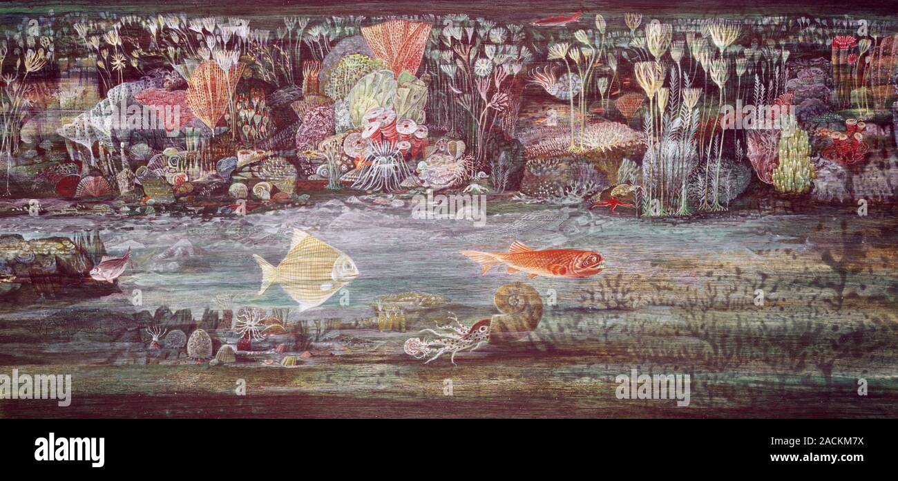 Carboniferous limestone. Illustration of a shallow limestone sea from ...