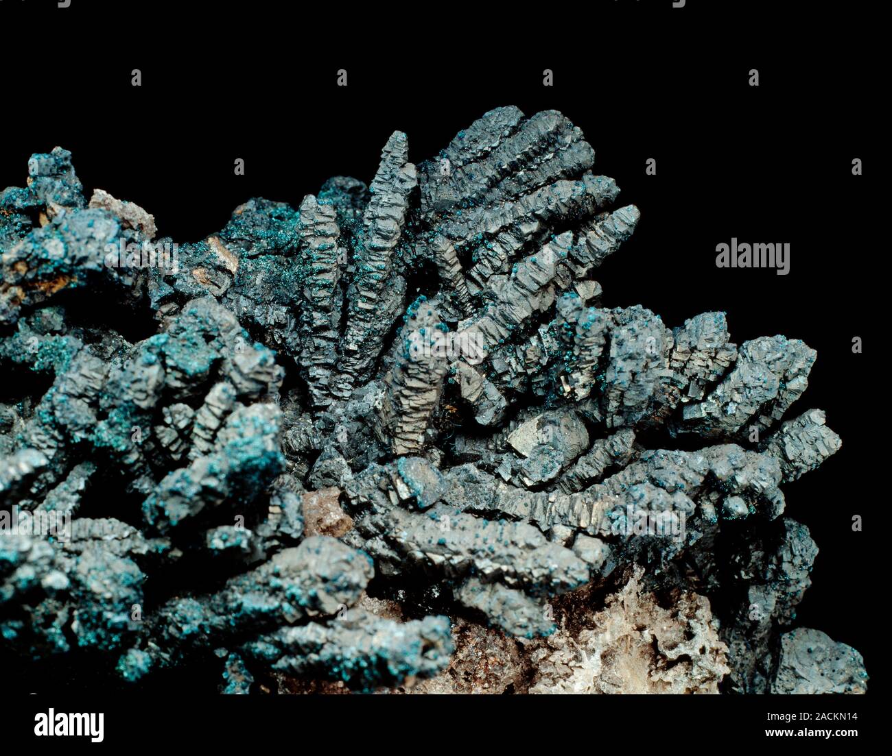 Bornite specimen. Bornite (copper iron sulphide) is a mineral that ...