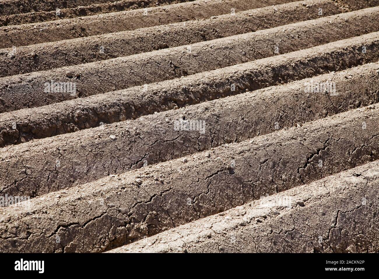 Fresh field in agriculture Stock Photo - Alamy
