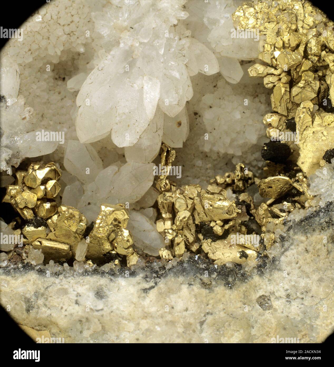 Gold crystals. Elemental gold can be redeposited during the processes ...