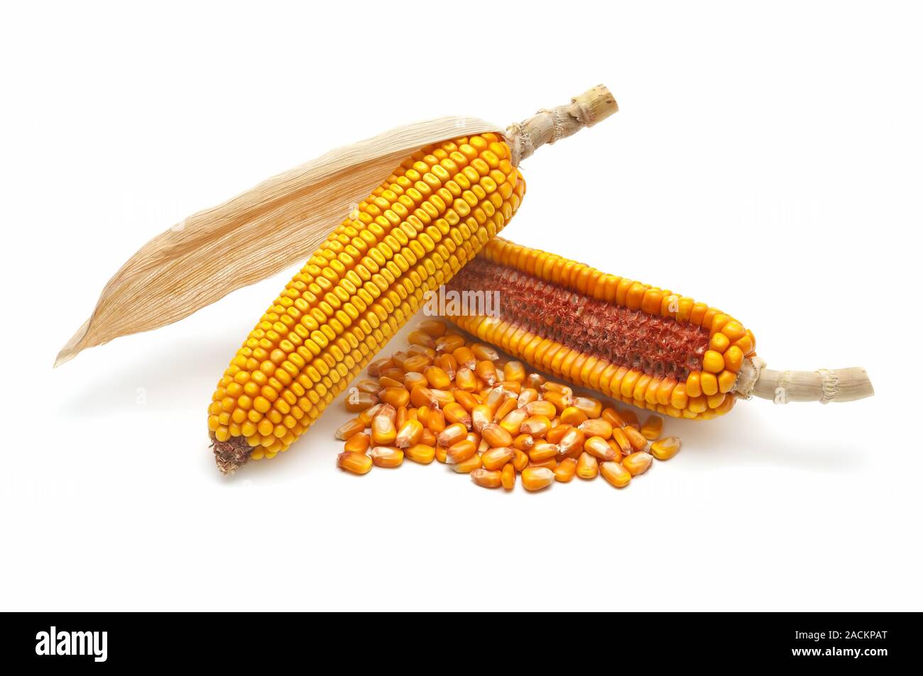 Corn cobs and corn kernels hi-res stock photography and images - Alamy