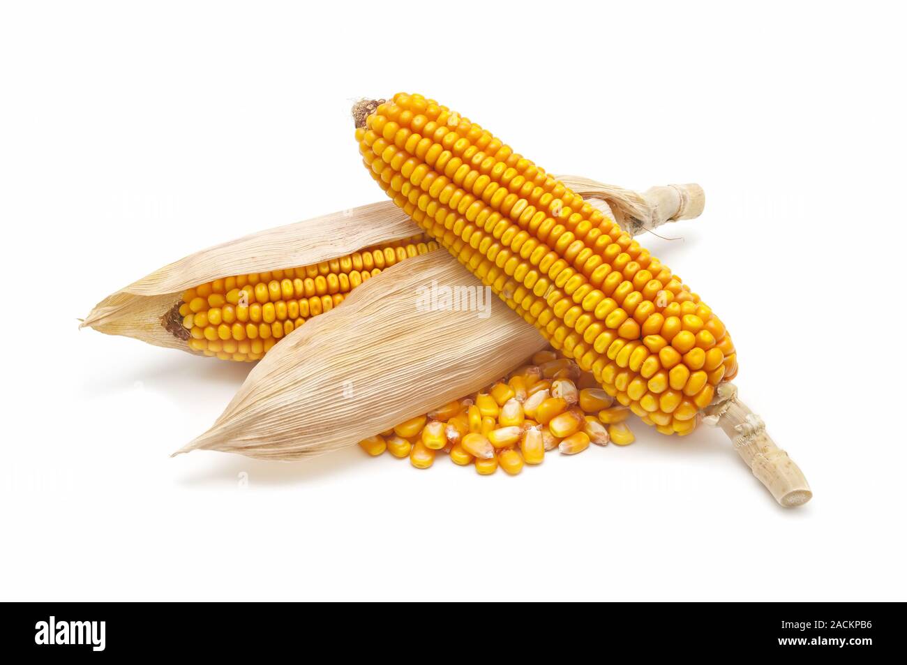 corn cobs and corn kernels Stock Photo - Alamy