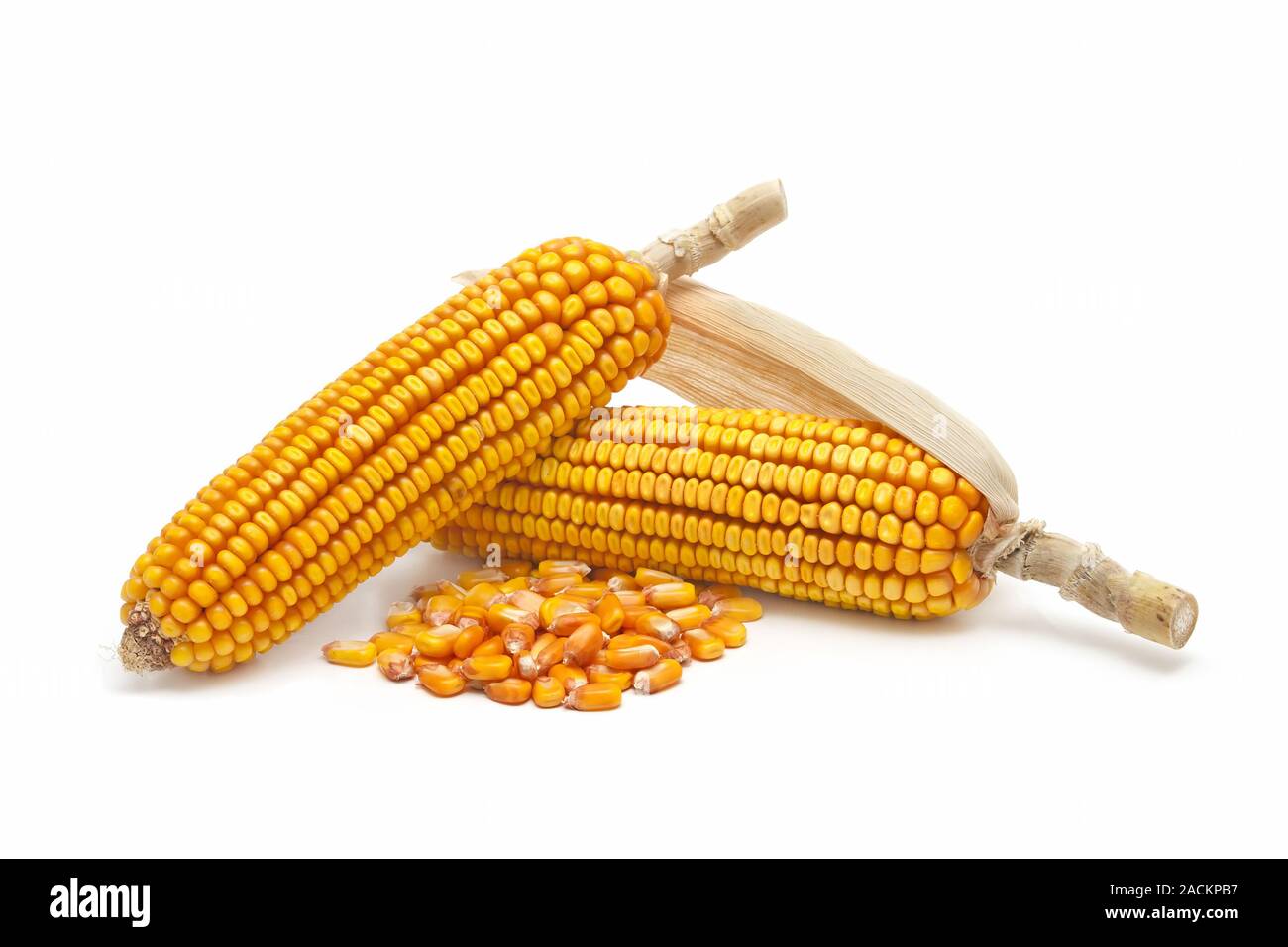 corn cobs and corn kernels Stock Photo - Alamy