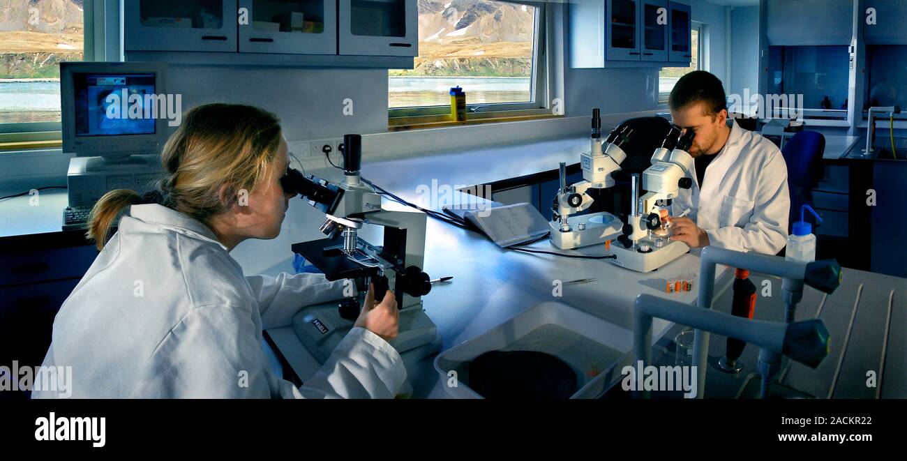 Antarctic research station. Marine scientists in the dry lab at the ...