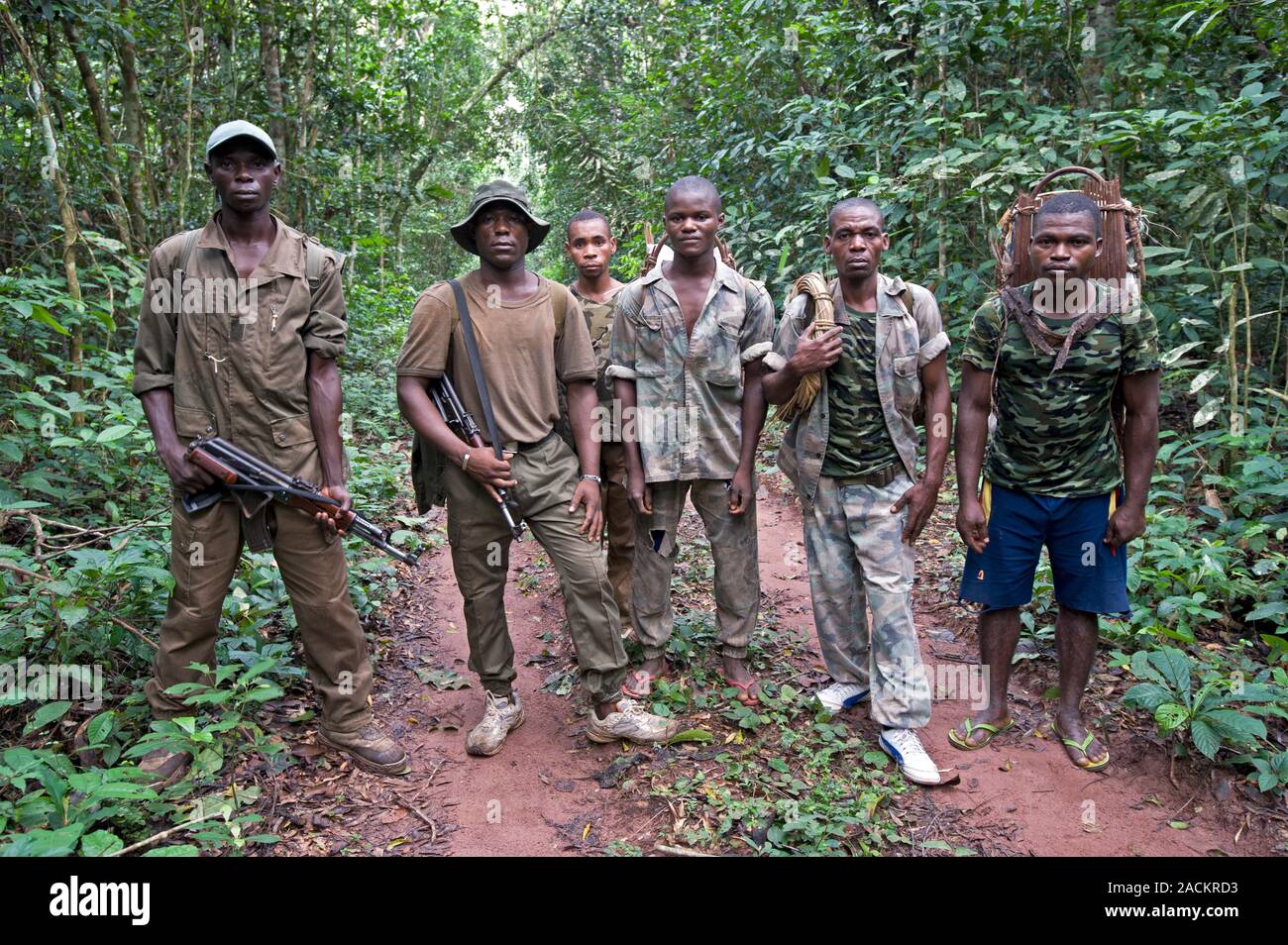 Anti-poaching patrol. Group of armed men patrolling a forest in the ...