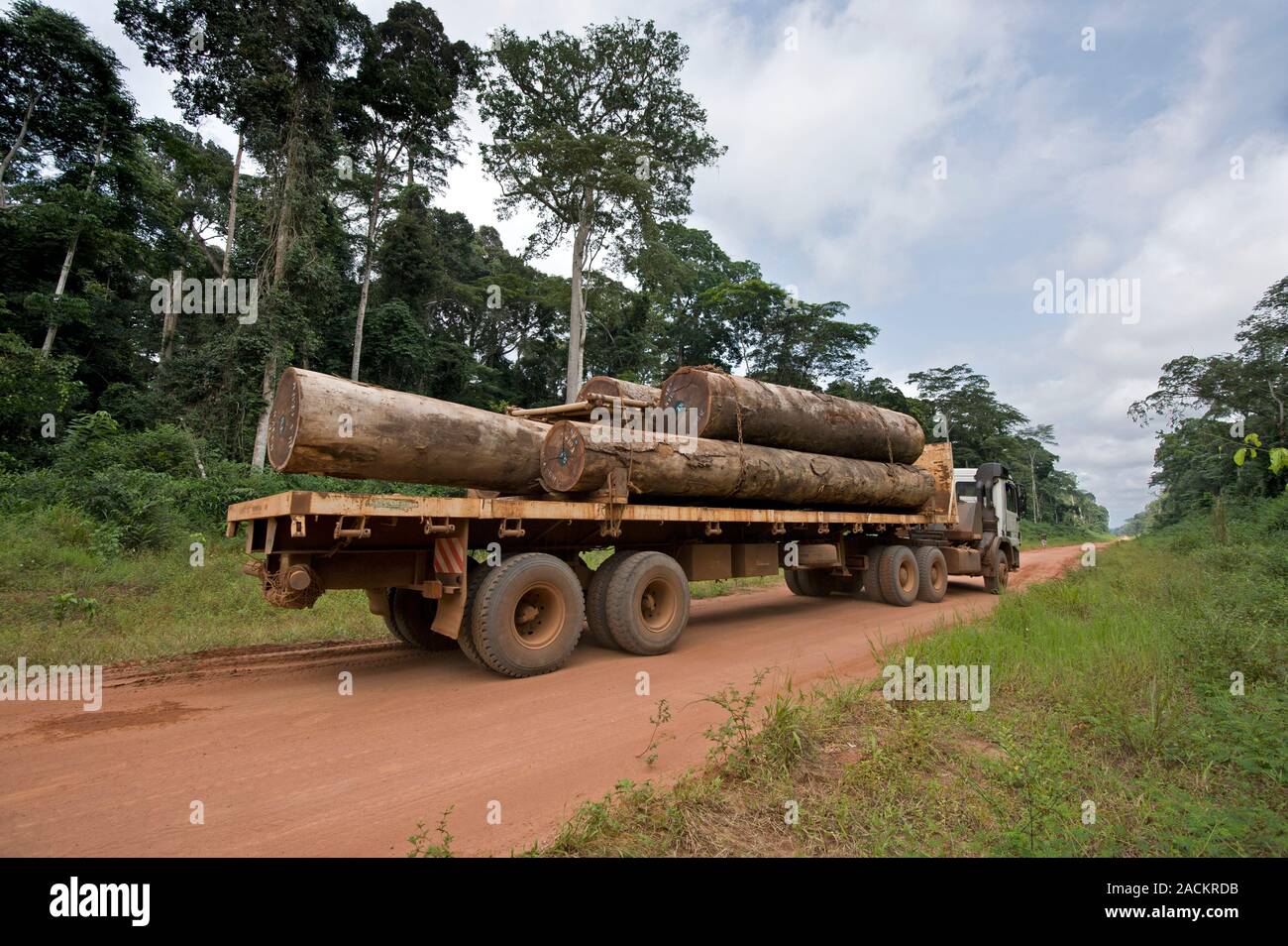 Logging truck in the Congo Basin. The timber industry is a major ...