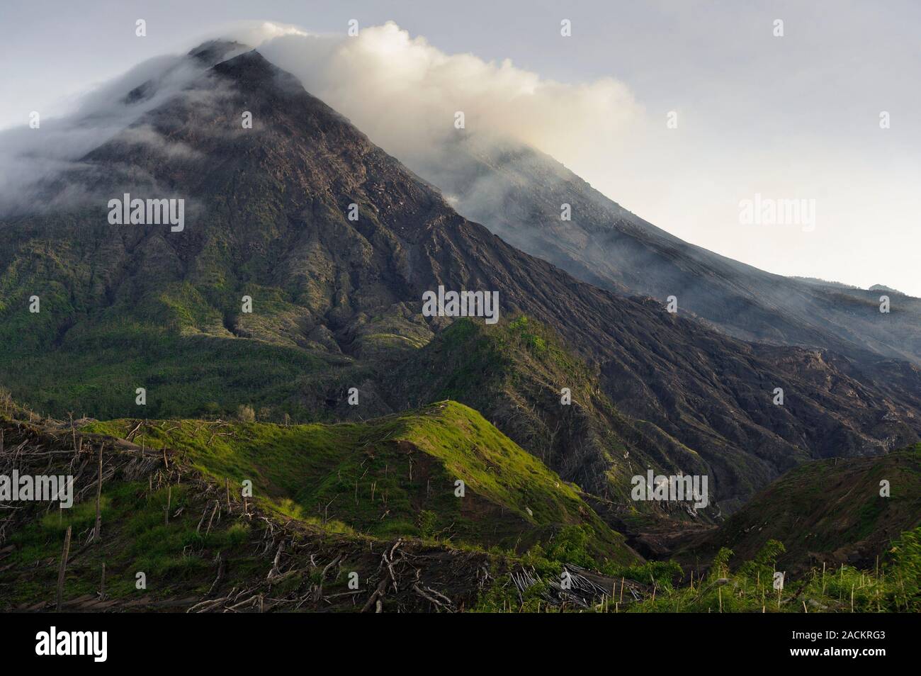 Gunung Merapi volcano, with dead trees on its slopes following earlier ...