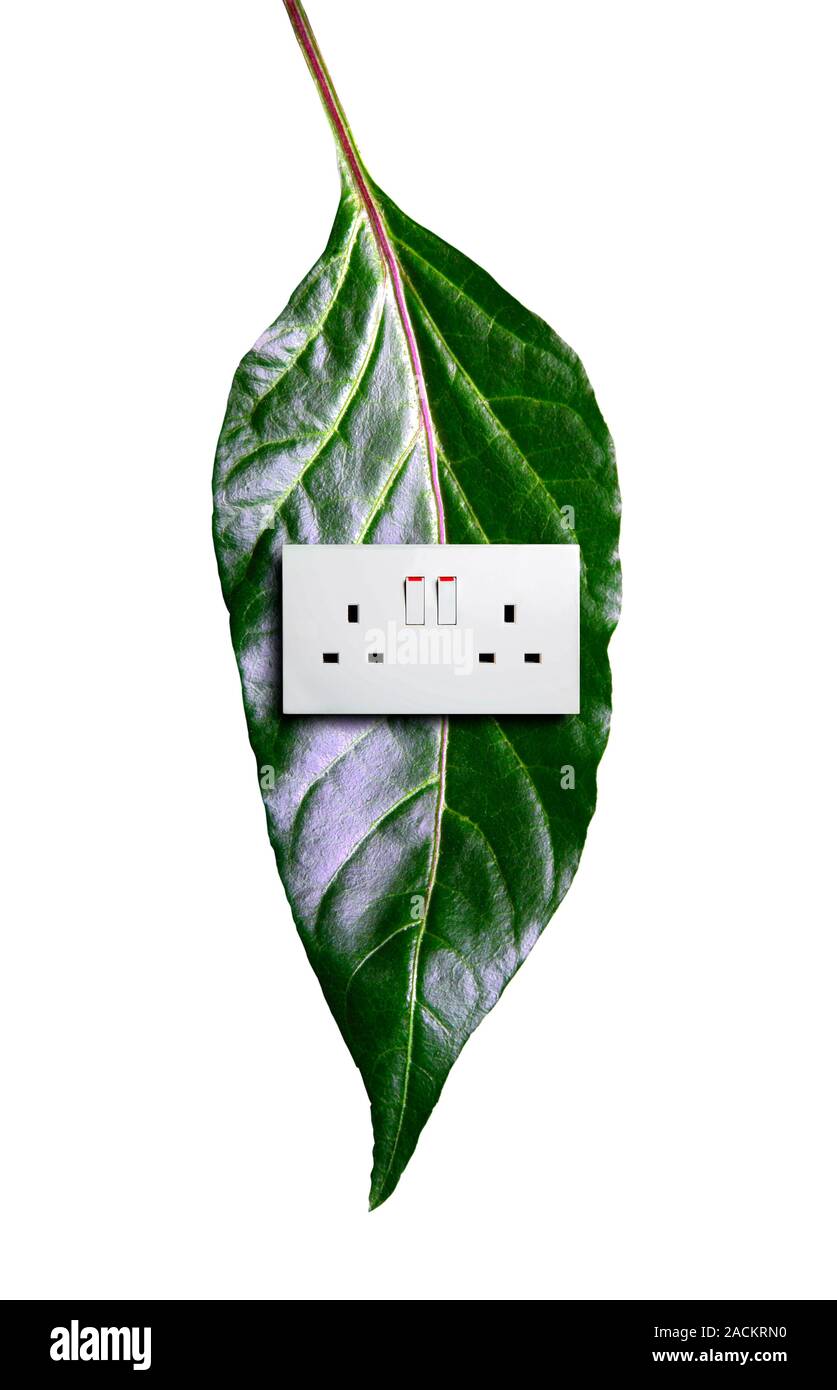 Bioenergy. Conceptual image of a leaf and an electrical socket point ...