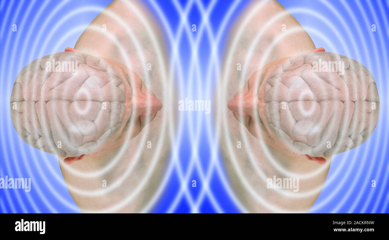 Telepathy. Conceptual image of waves emanating from the brains of two ...