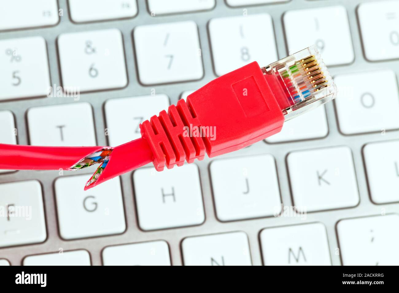 Network cable of a computer Stock Photo - Alamy