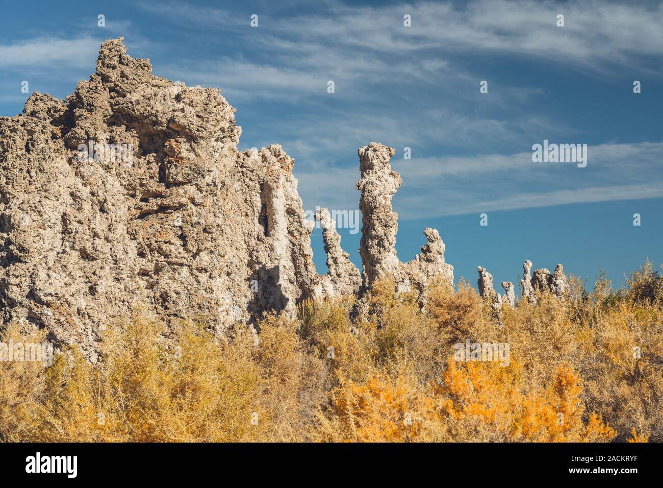 Mono fall colors hi-res stock photography and images - Alamy